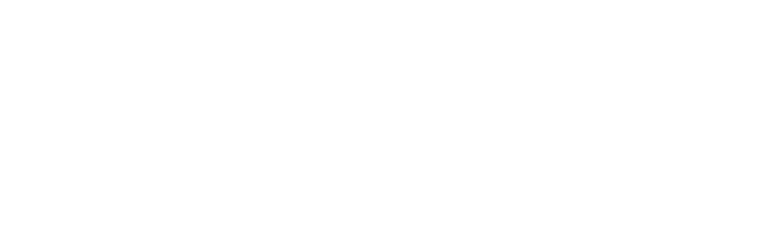 Prospect - SilQ Forte